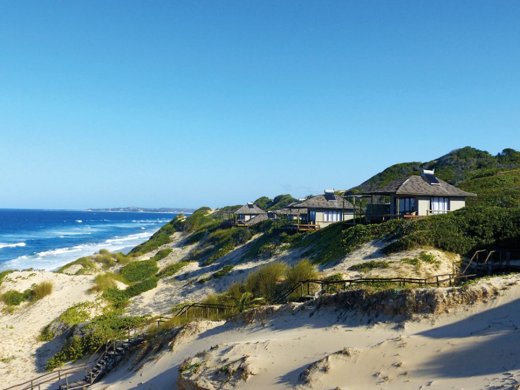 Mosambik Reiseberichte & Erfahrungen aus dem Urlaub - Afrika.de