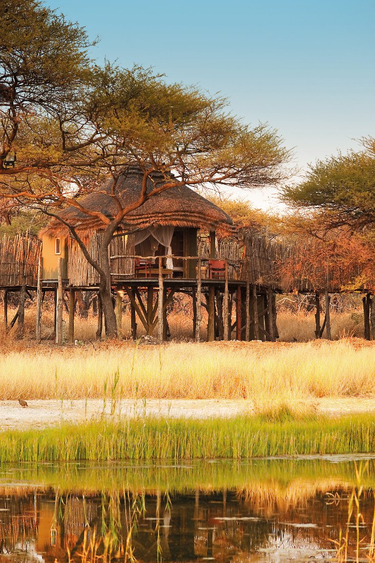 Onguma Bush Camp Namibia buchen | Iwanowski's Reisen