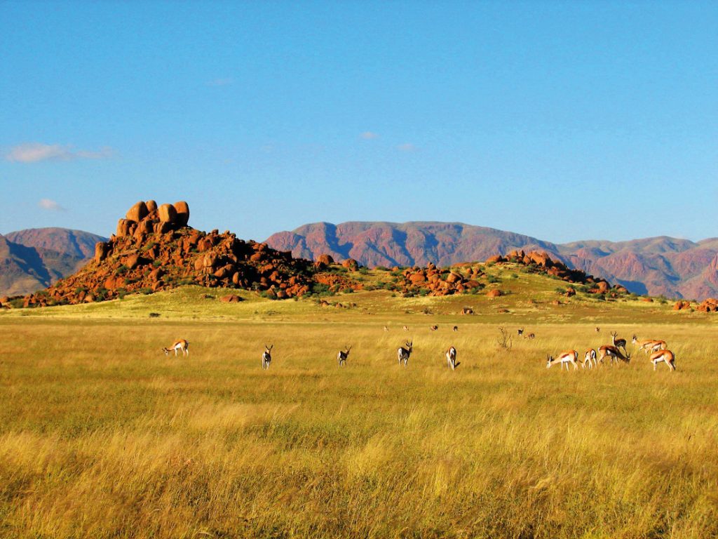 Geführte Reise durch Namibia & Botswana | Auf Safari mit afrika.de